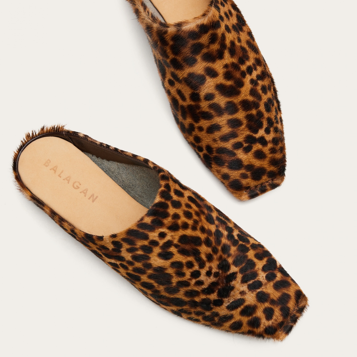 Bayit slides, pattern | Balagan Studio