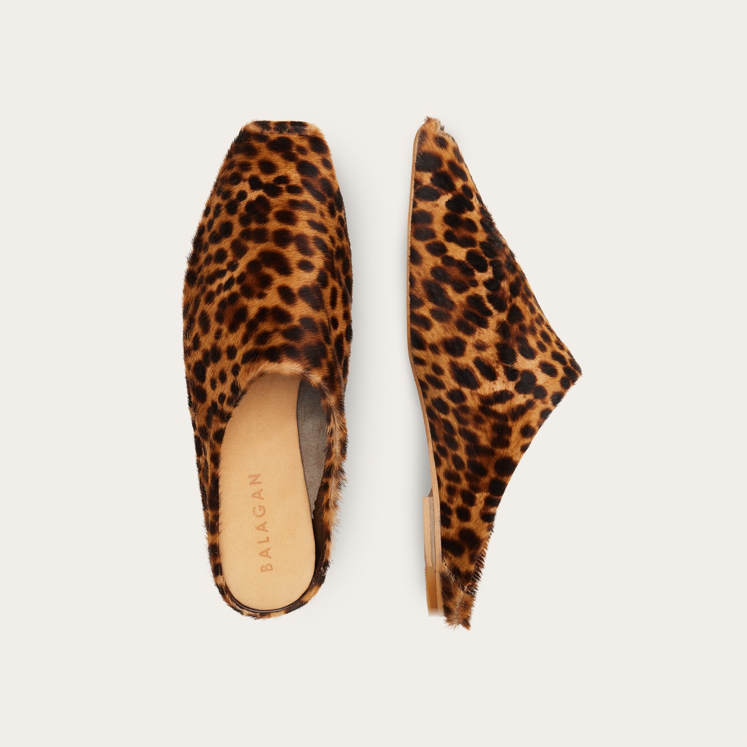 Bayit slides, pattern | Balagan Studio